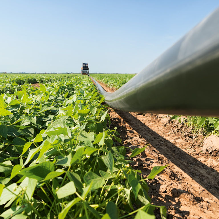Über Uns – Beinlich Beregnung