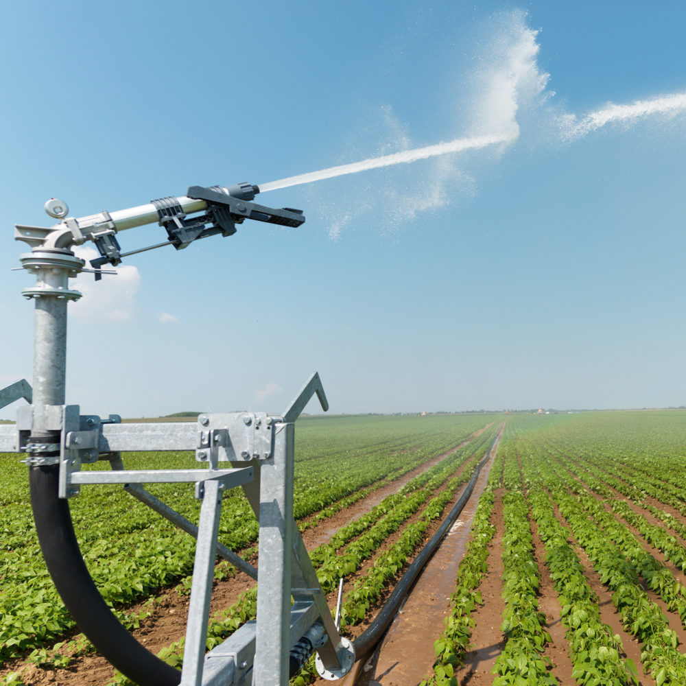 About us – Beinlich Beregnung